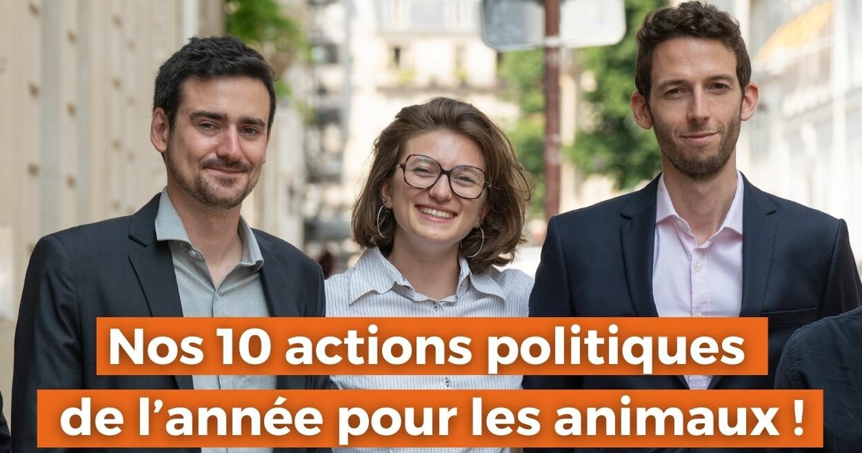 Nos 10 actions politiques de l’année | Convergence Animaux Politique
