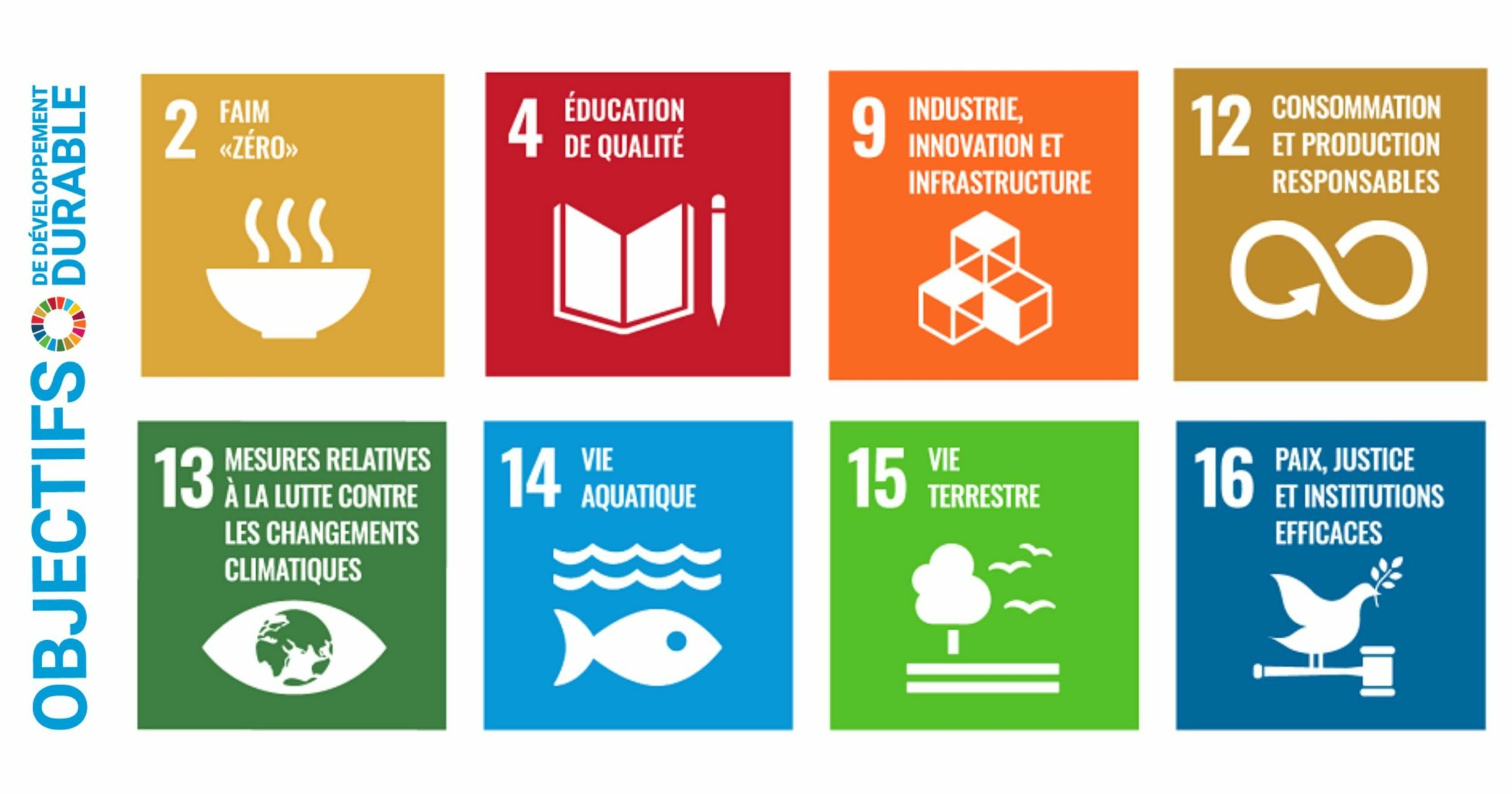 La protection des animaux s’inscrit dans des enjeux mondiaux ...